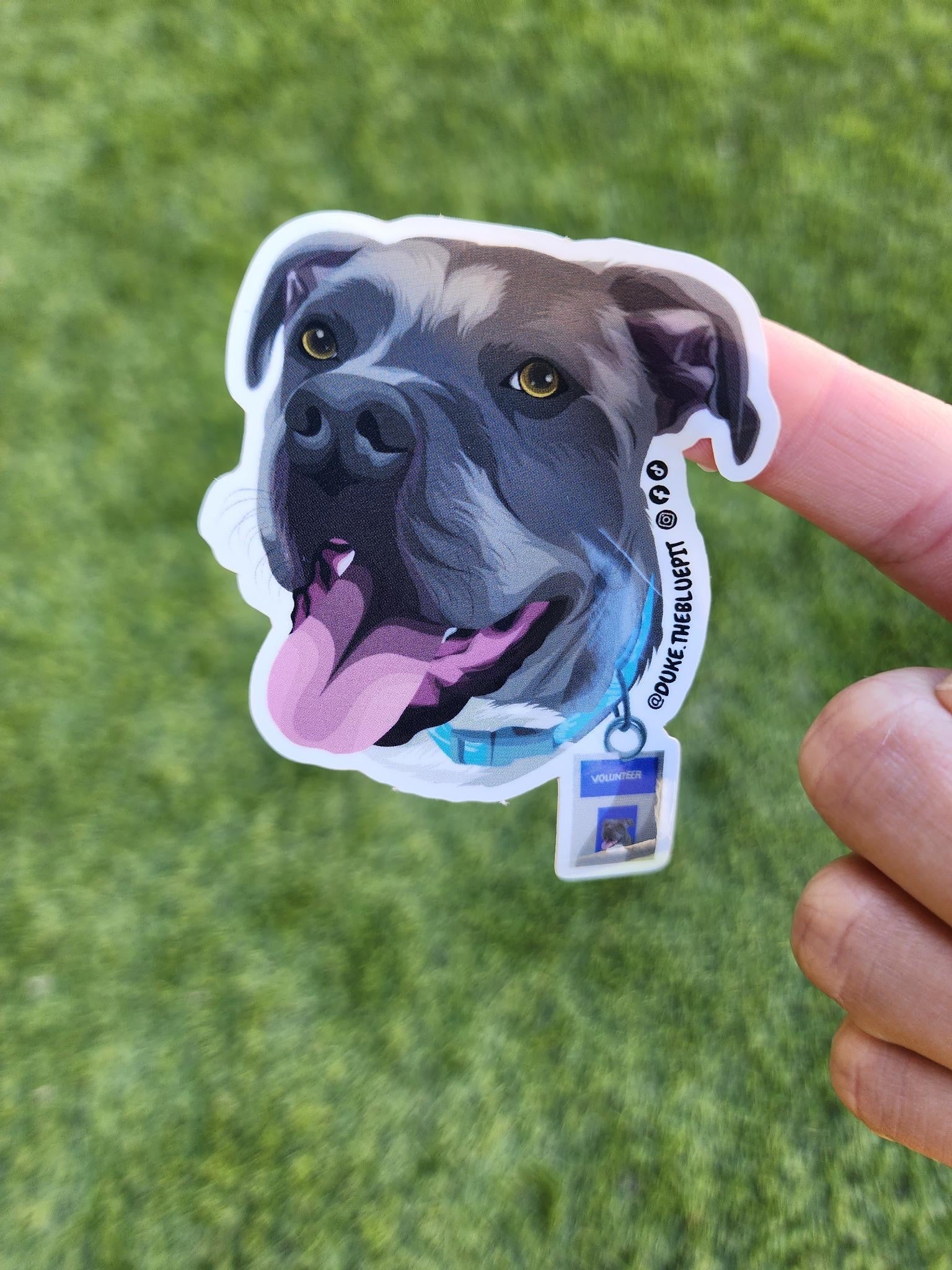Volunteer Badge Sticker – pittiewiggles