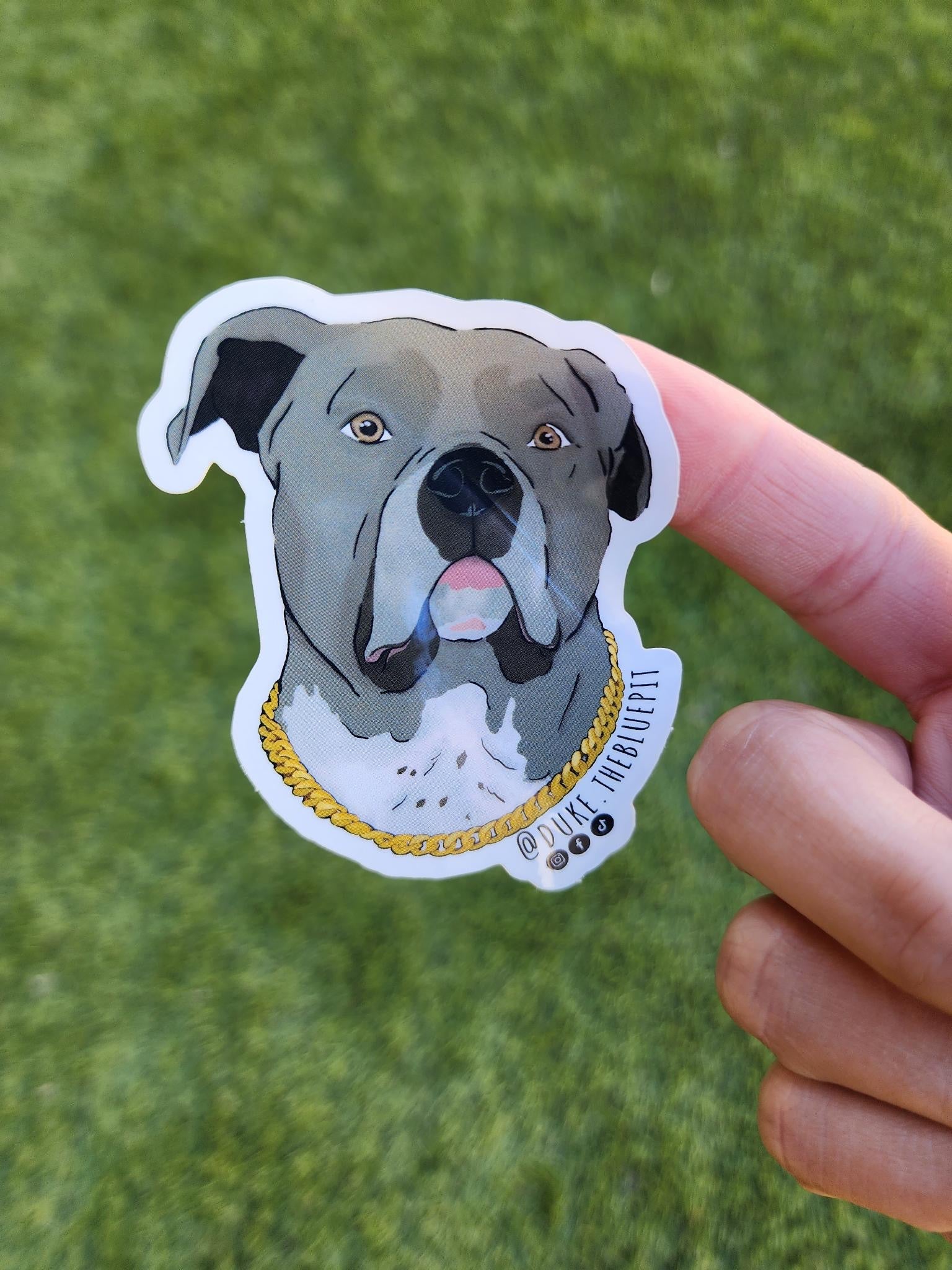 Gold Chain Sticker – pittiewiggles